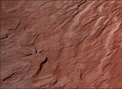 PRODUCTS | Phomi MCM Philippines