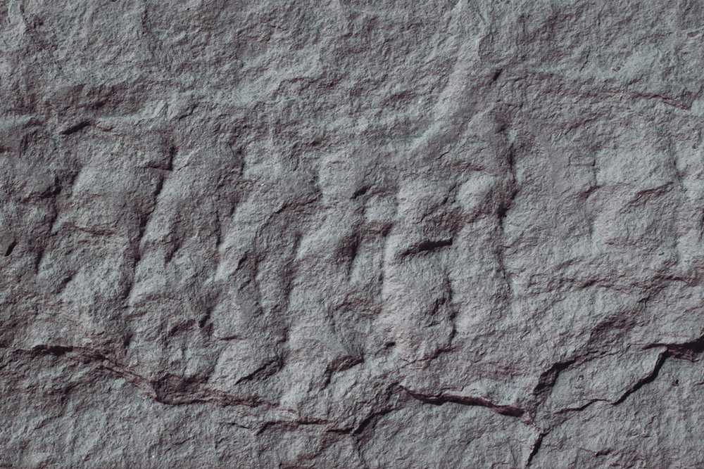 Divine Mushroom Stone | Phomi MCM Philippines